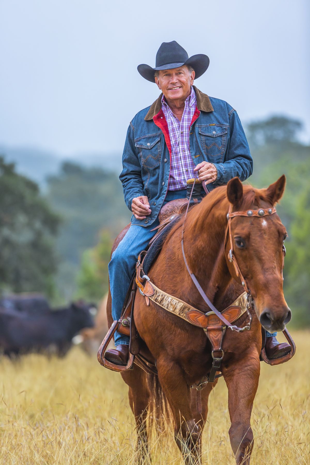 George Strait - Blue Clear Sky - Melody Era