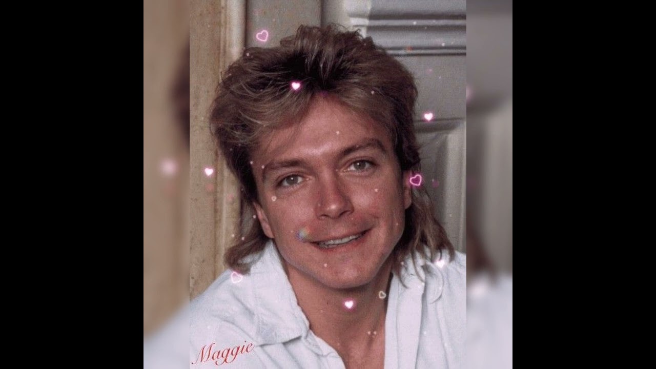 A Grown-Up David Cassidy Gave “Show and Tell” a New Pulse on 1998’s Old ...